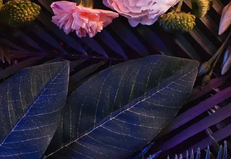 Massage-Studio in Leipzig | Zentrum am Rosental - RELAX plus